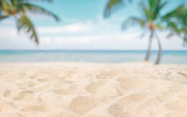 Free beach background stock photos. Download the best free beach ...