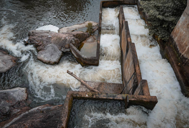Free picture: fish, ladder, migrating, fish, bypass, dam, blocking ...