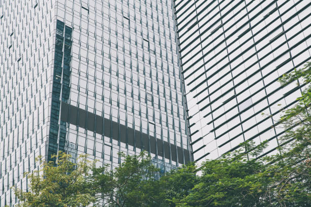 Free Stock Photo of Modern building facade with lined windows and tree ...