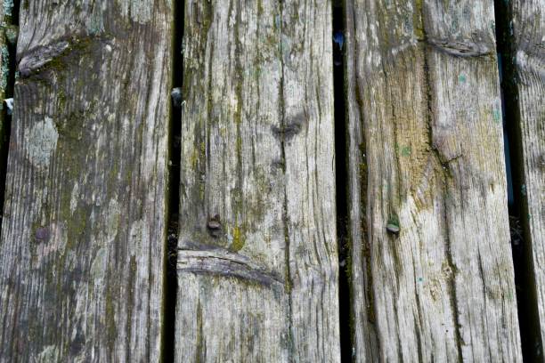 Free picture: decay, dirty, plank, vertical, texture, wooden, knot ...