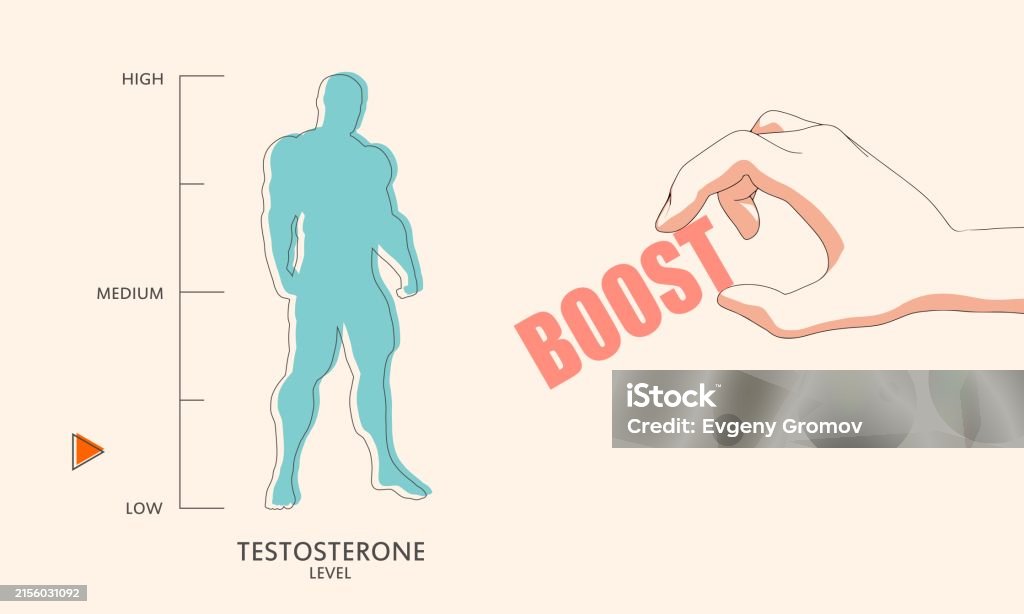 Hormone Testosterone Level Measuring Scale With Muscular Man Silhouette