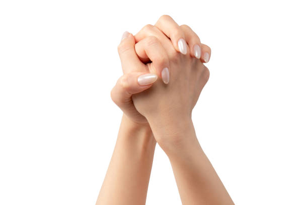 Free Stock Photo of Join Hands Together - White Background | Download ...