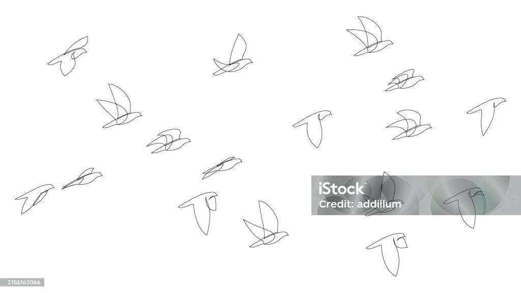 Line Drawing Of Flock Of Birds Flying Together Vector Illustration