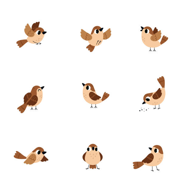 Free Bird Svg Vector Art - Download 5,746+ Bird Svg Icons & Graphics ...