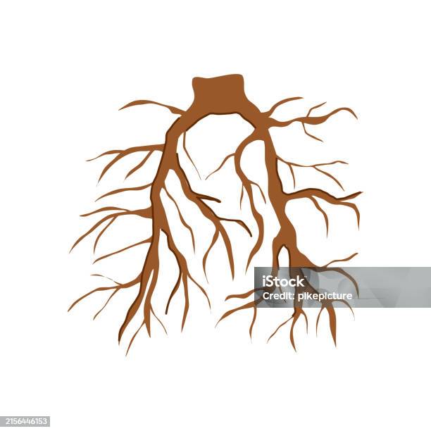 Illustration Vectorielle De Dessin Animé De Racine Darbre De Forêt