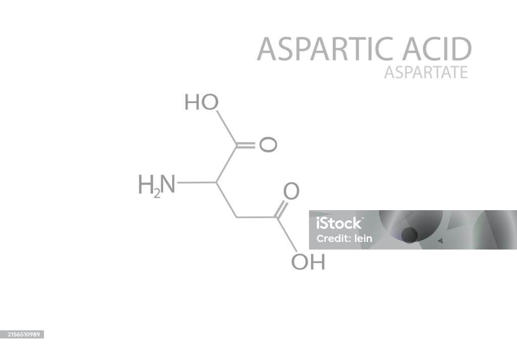 Aspartic Acid Aspartate Molecular Skeletal Chemical Formula Stock