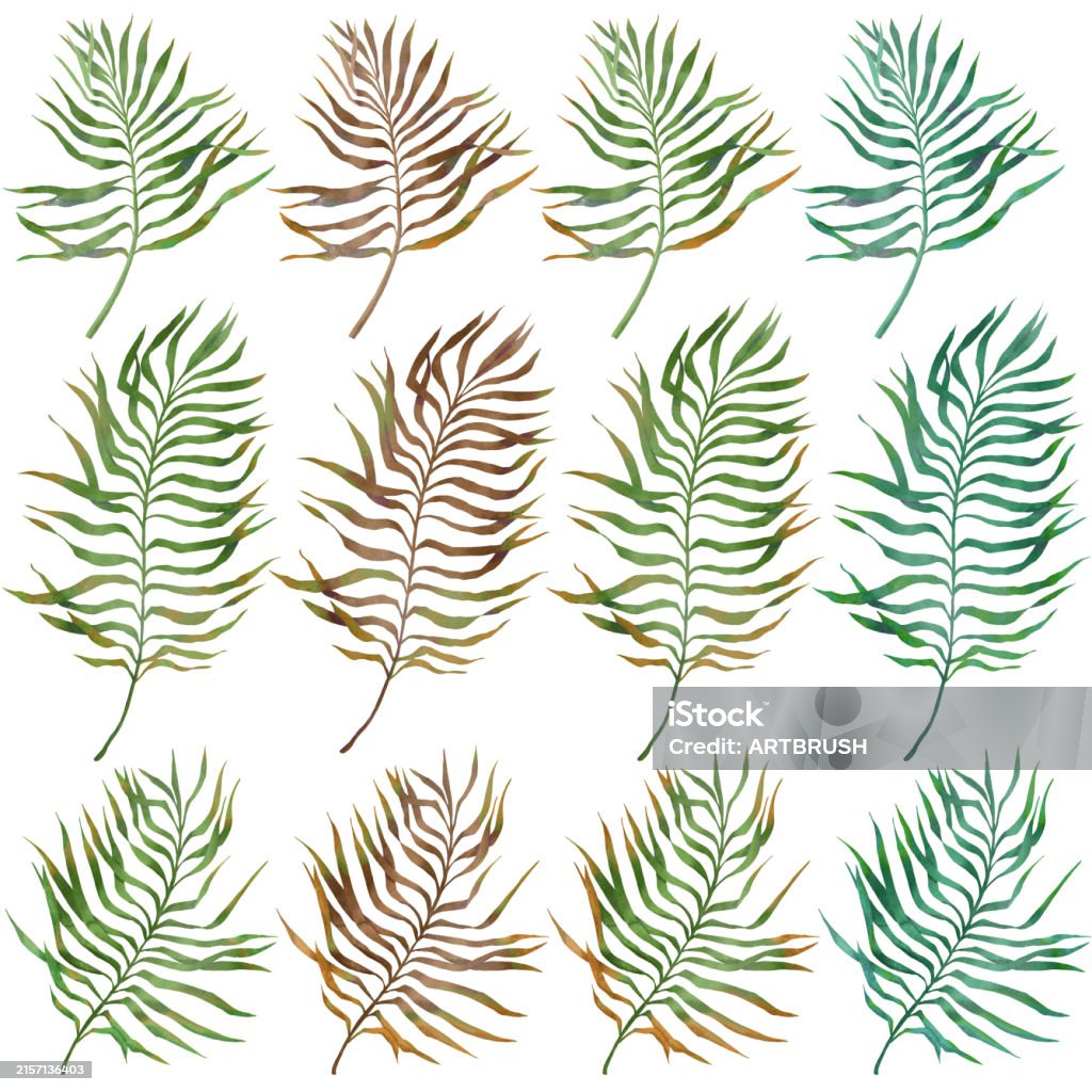 Palm Tree Leaves Set Stock Illustration - Download Image Now ... Palm Tree Leaves Set Stock Illustration - Download Image Now ...