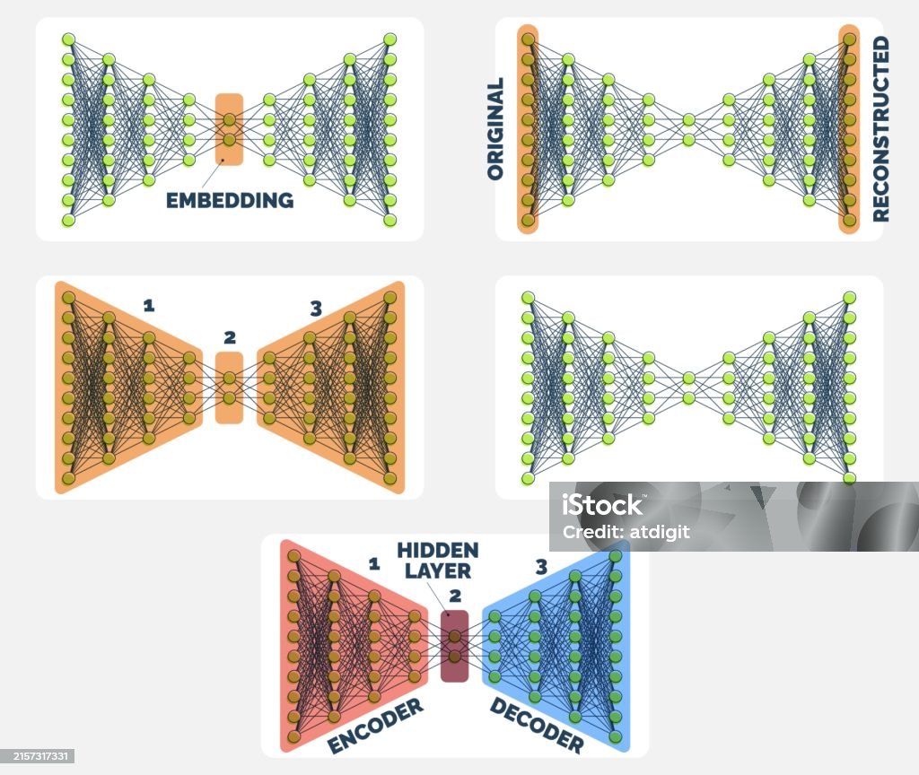 Comprehensive Autoencoder Neural Network Guide Encoding To Decoding Visuals Set Of Five