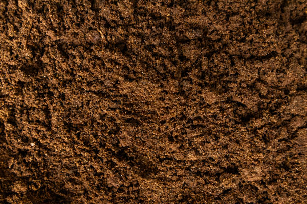 Free Stock Photo of Top soil texture background | Download Free Images ...