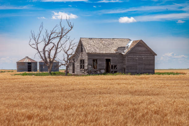 Free Stock Photo of A old house in a field | Download Free Images and ...