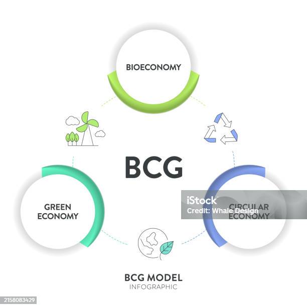 Bcg Model Strategy Infographic Diagram Chart Banner Template For