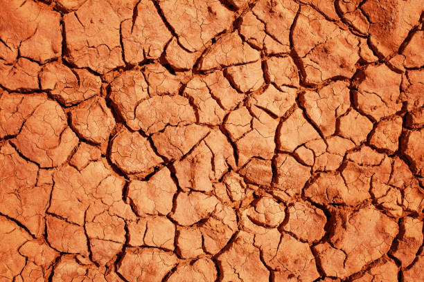 Free picture: Close-up of a dry cracked ground, a texture of dried out ...