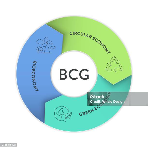 Bcg Model Strategy Infographic Diagram Chart Banner Template For