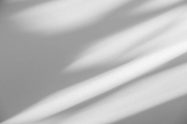 10,000+ Free Shadow & Nature Images - Pixabay