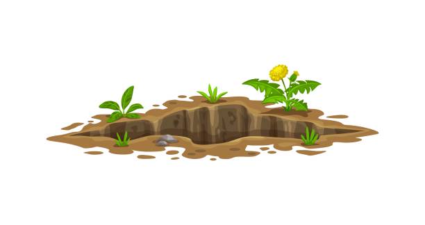Mud pit Clipart Vector PNG , SVG, EPS, PSD, AI