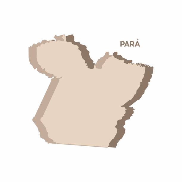 120 Mapa De Brasil Y Viajes Infografía Plantilla De Diseño