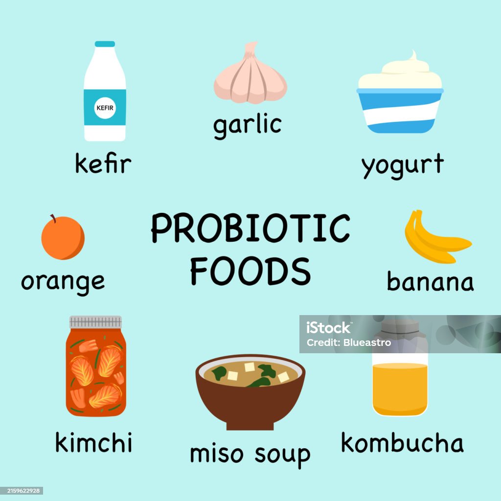 Set Of Probiotic Foods There Are Kombucha Kimchi Banana Mico Soup Yogurt And Kefir Food With The