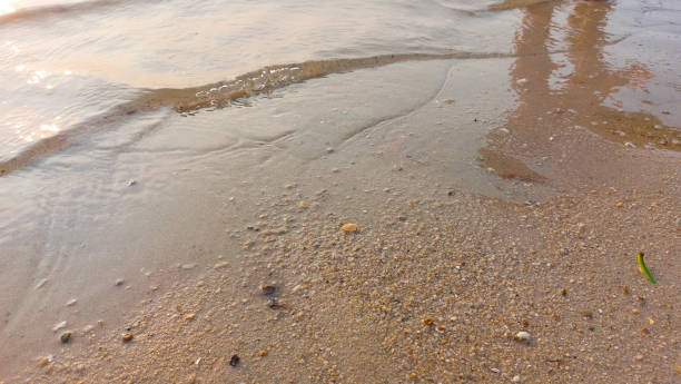 Free picture: Wet beach sand texture close-up