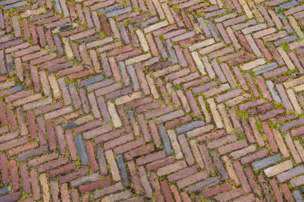 Free picture: A texture of brown pavement blocks, a brownish bricks ...