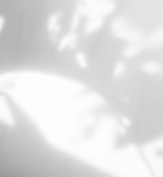 10,000+ Free Shadow & Nature Images - Pixabay