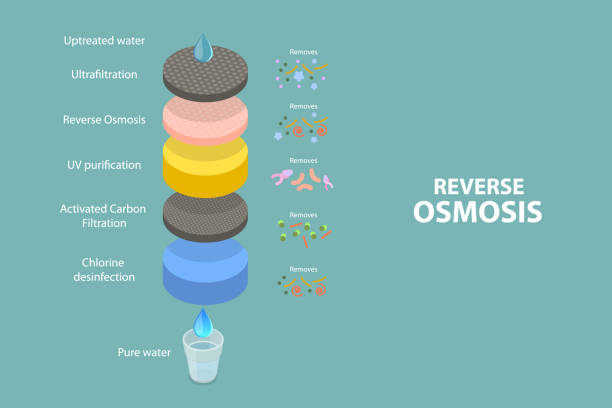 1,000+ Osmosis Illustration Stock Illustrations, Royalty-Free Vector ... 1,000+ Osmosis Illustration Stock Illustrations, Royalty-Free Vector ...