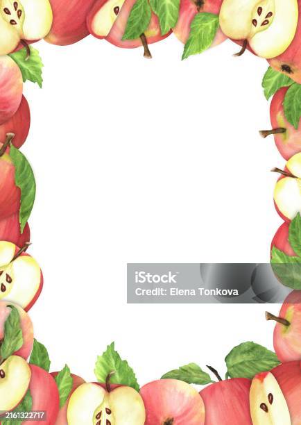 Bingkai Persegi Panjang Dengan Apel Merah Dan Daun Hijau Bingkai Buah ... Bingkai Persegi Panjang Dengan Apel Merah Dan Daun Hijau Bingkai Buah ...