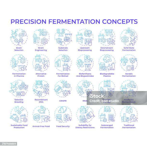 Precision Fermentation Blue Gradient Concept Icons Stock Illustration ... Precision Fermentation Blue Gradient Concept Icons Stock Illustration ...