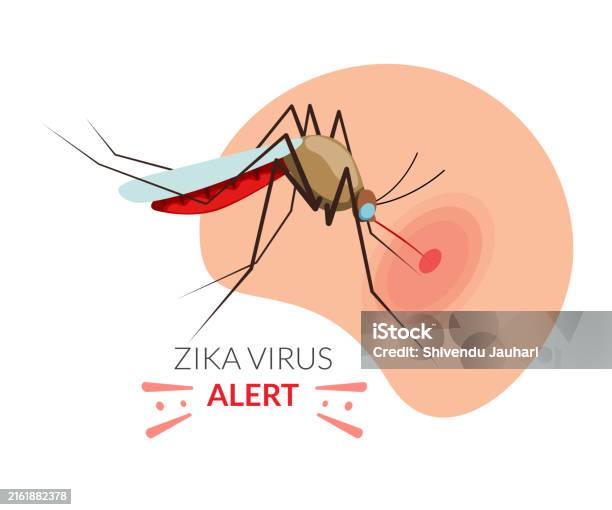 Mosquito Biting On Human Skin Zika Alert Stock Illustration Stock ... Mosquito Biting On Human Skin Zika Alert Stock Illustration Stock ...