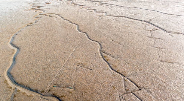 Free picture: Close-up of dry ground texture in mud flats