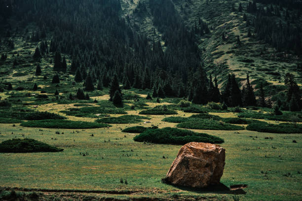 Free Stock Photo of A grassy field with trees and a large rock mountain ...