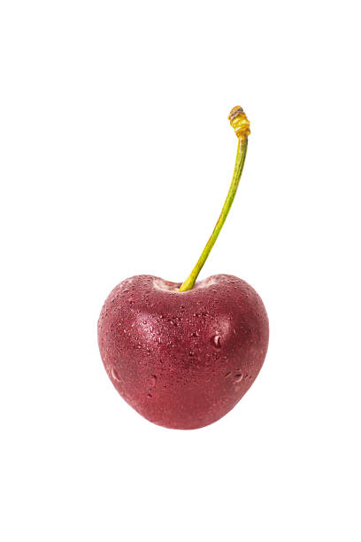 Free Stock Photo of Single Cherry on White Background | Download Free ...