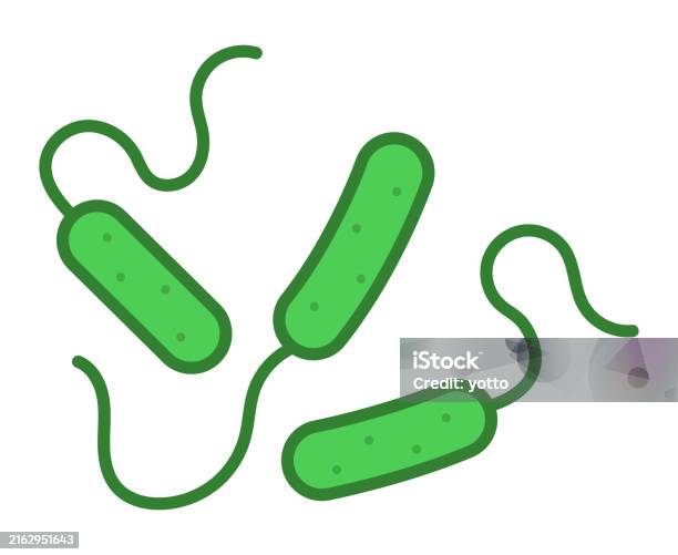 Ilustrasi Vektor Terisolasi Pseudomonas Aeruginosa Ilustrasi Stok
