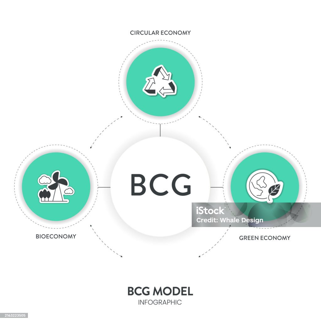 Bcg Model Strategy Infographic Diagram Chart Banner Template For