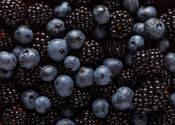 Fresh and Juicy Berry Images: Free Stock Photos of Berries and Fruits ...