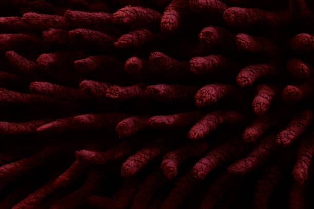 Free picture: Close up of a artificial red fur texture
