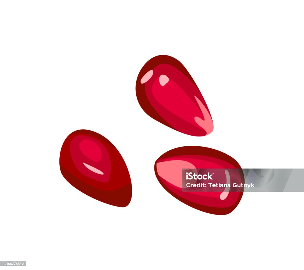 Pomegranate Seed Isolated On White Background Vector Cartoon Flat ... Pomegranate Seed Isolated On White Background Vector Cartoon Flat ...