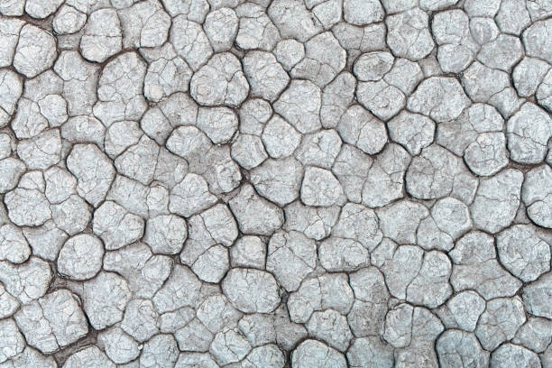 Free picture: Close-up of dry ground texture in mud flats