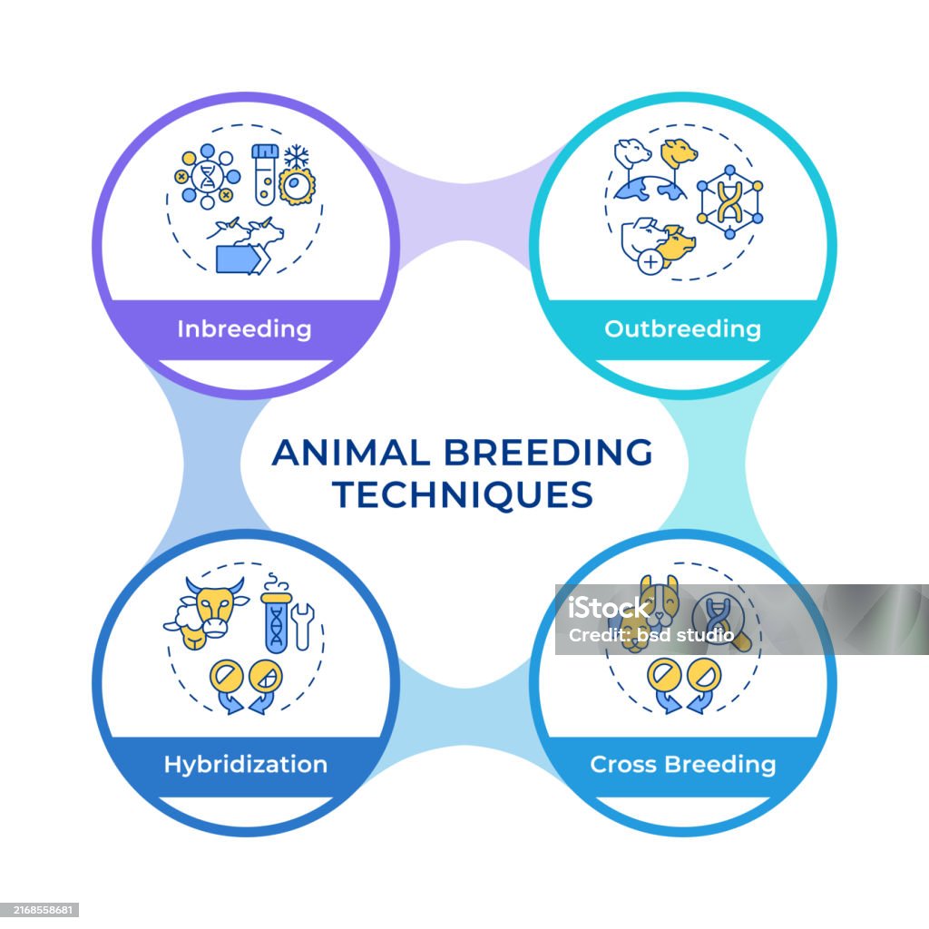 Types Of Breeding Infographic Circles Flowchart Stock Illustration ... Types Of Breeding Infographic Circles Flowchart Stock Illustration ...