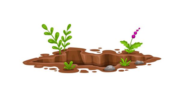 Mud pit Clipart Vector PNG , SVG, EPS, PSD, AI