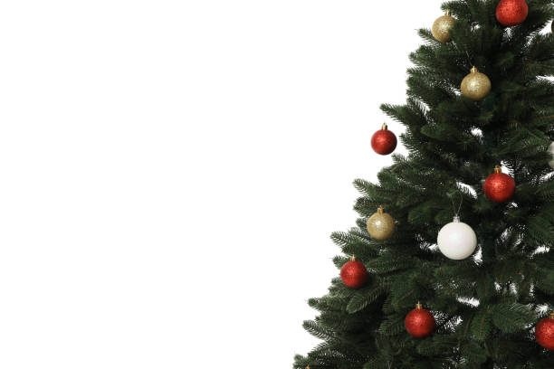 Free Stock Photo of Decorated Christmas Tree on White Background ...