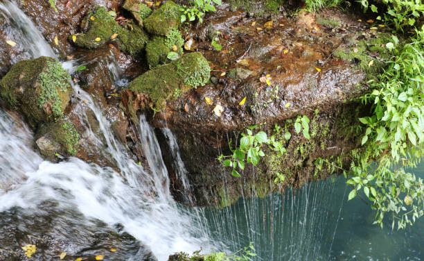 Free Stock Photo of View of waterfall from above | Download Free Images ...