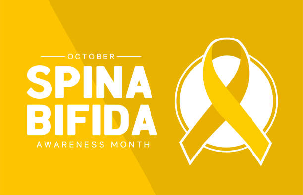 20 Spinal Bifida Stock Illustrations Royalty Free Vector Graphics
