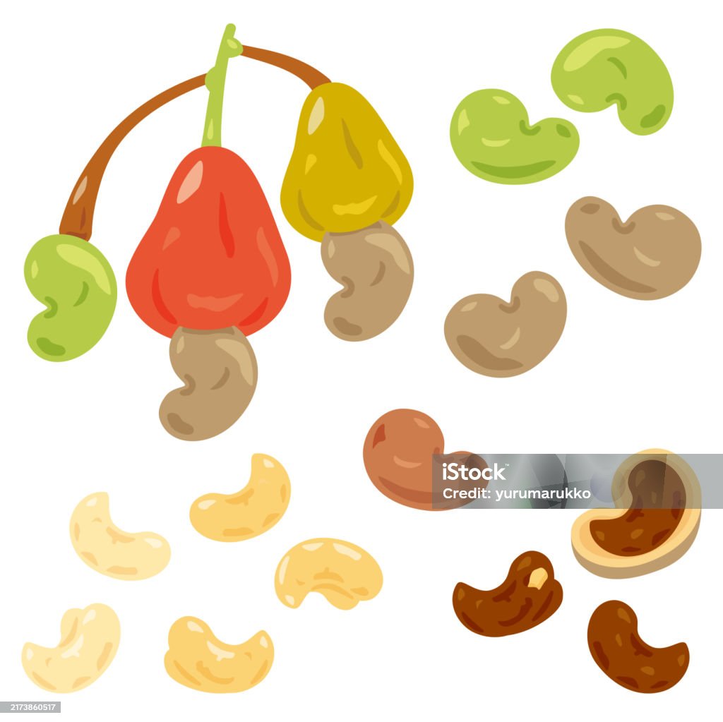 Cashew Nuts Set Stock Illustration - Download Image Now - Appetizer ... Cashew Nuts Set Stock Illustration - Download Image Now - Appetizer ...