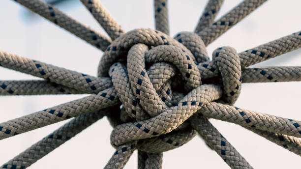 Free Stock Photo of Blue rope knot | Download Free Images and Free ...