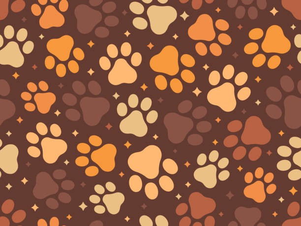 Free Stock Photo of Rainbow colored dog paw prints. | Download Free ...