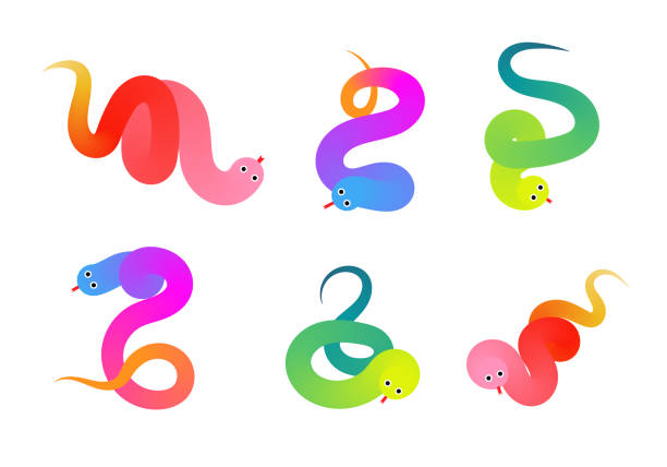 910+ Chinese Cobra Snake Stock Illustrations, Royalty-Free Vector ... 910+ Chinese Cobra Snake Stock Illustrations, Royalty-Free Vector ...