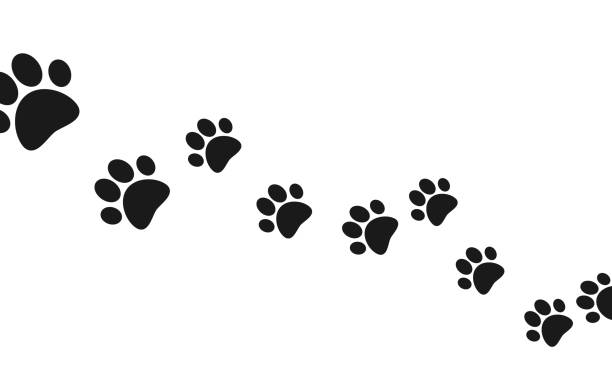 Free Stock Photo of Rainbow colored dog paw prints. | Download Free ...