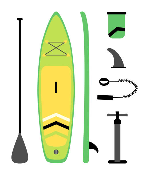 1200 Paddle Board Stock Illustrations Royalty Free Vector Graphics