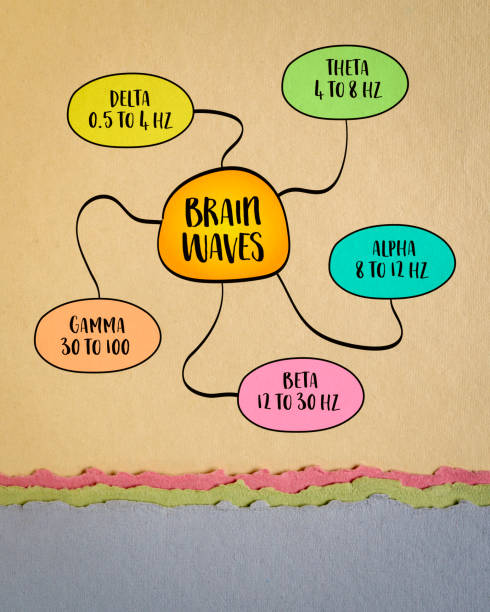 Brain waves are electrical impulses in the brain that reflect various ...