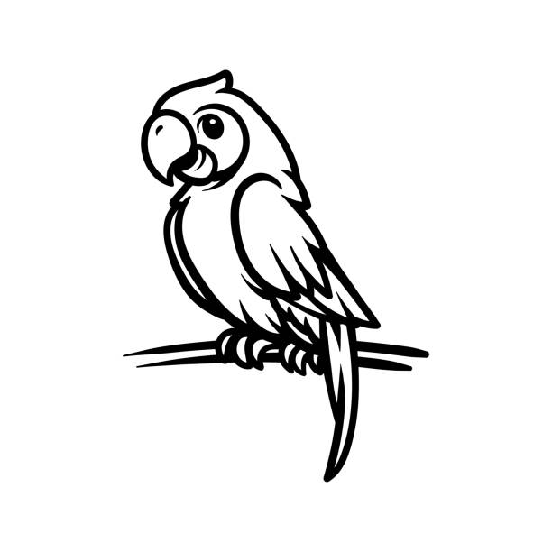 880+ Happy Looking At Paper Bills Stock Illustrations, Royalty-Free ... 880+ Happy Looking At Paper Bills Stock Illustrations, Royalty-Free ...